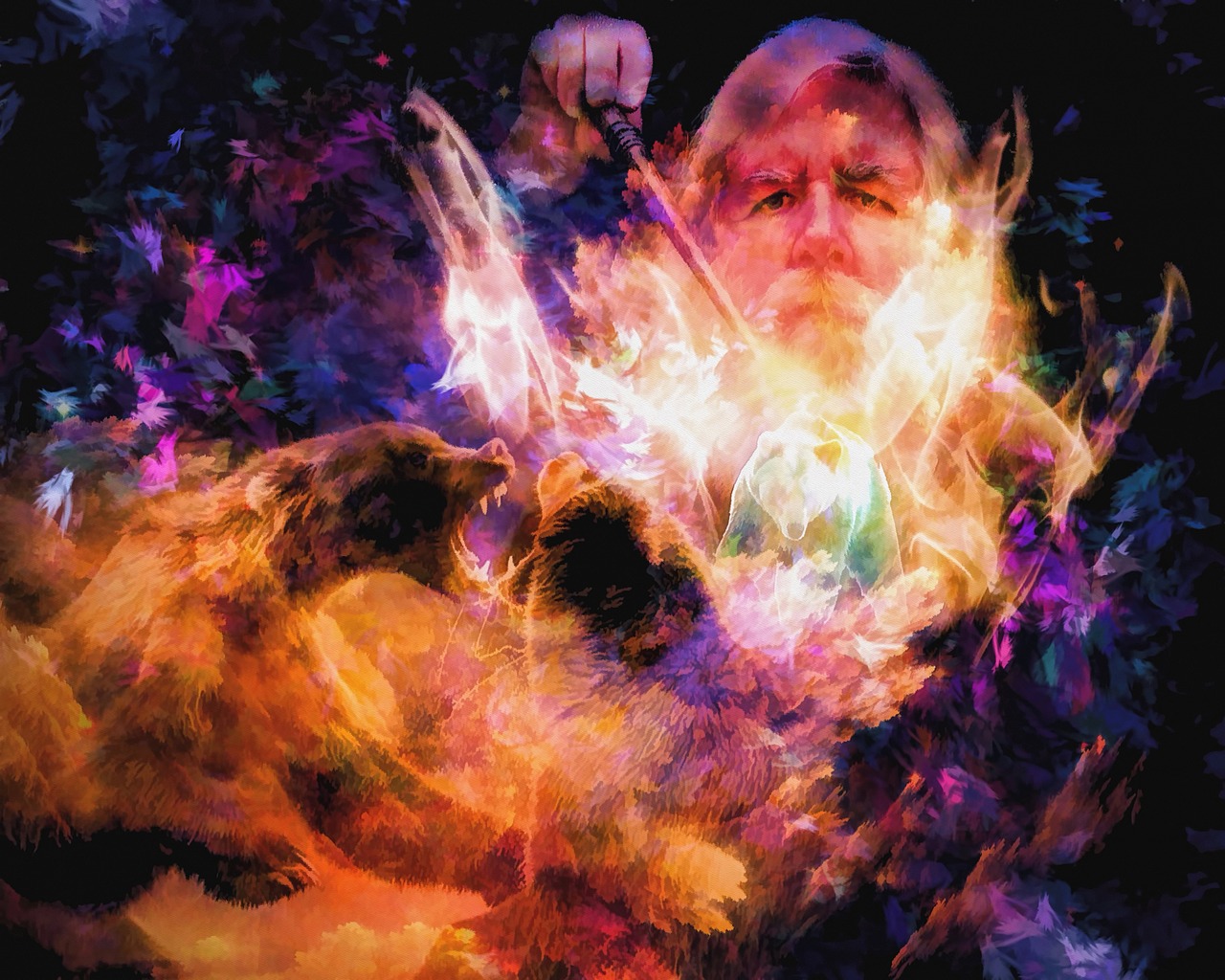 The wizard of OSS: effective collection of VAT in cross-border e ...