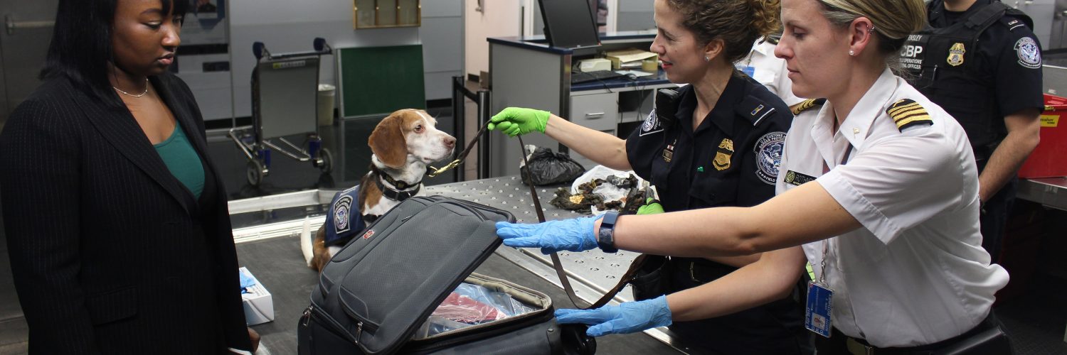 Customs Duties – the importance of preferential origin in the context ...