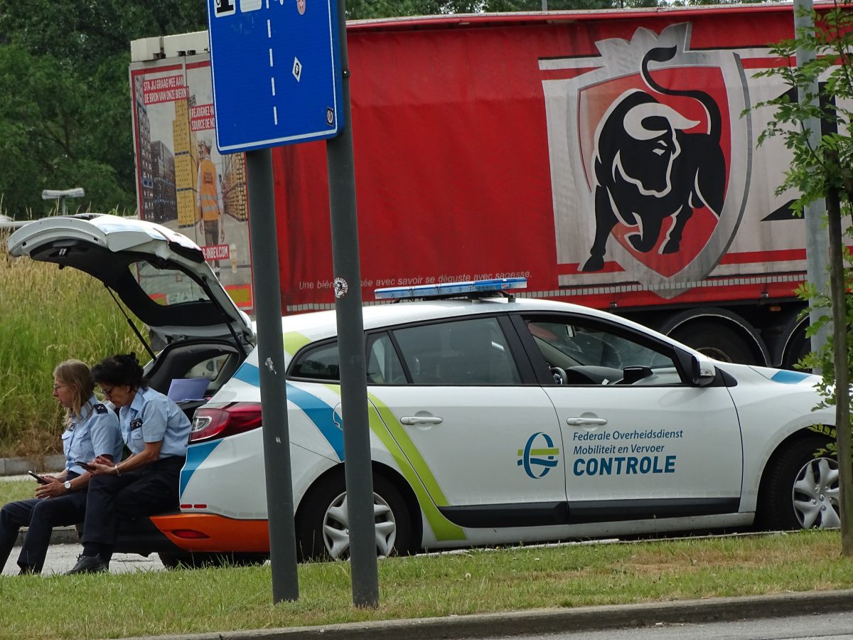 Statutory guidance: Reference Documents for The Customs Tariff ...