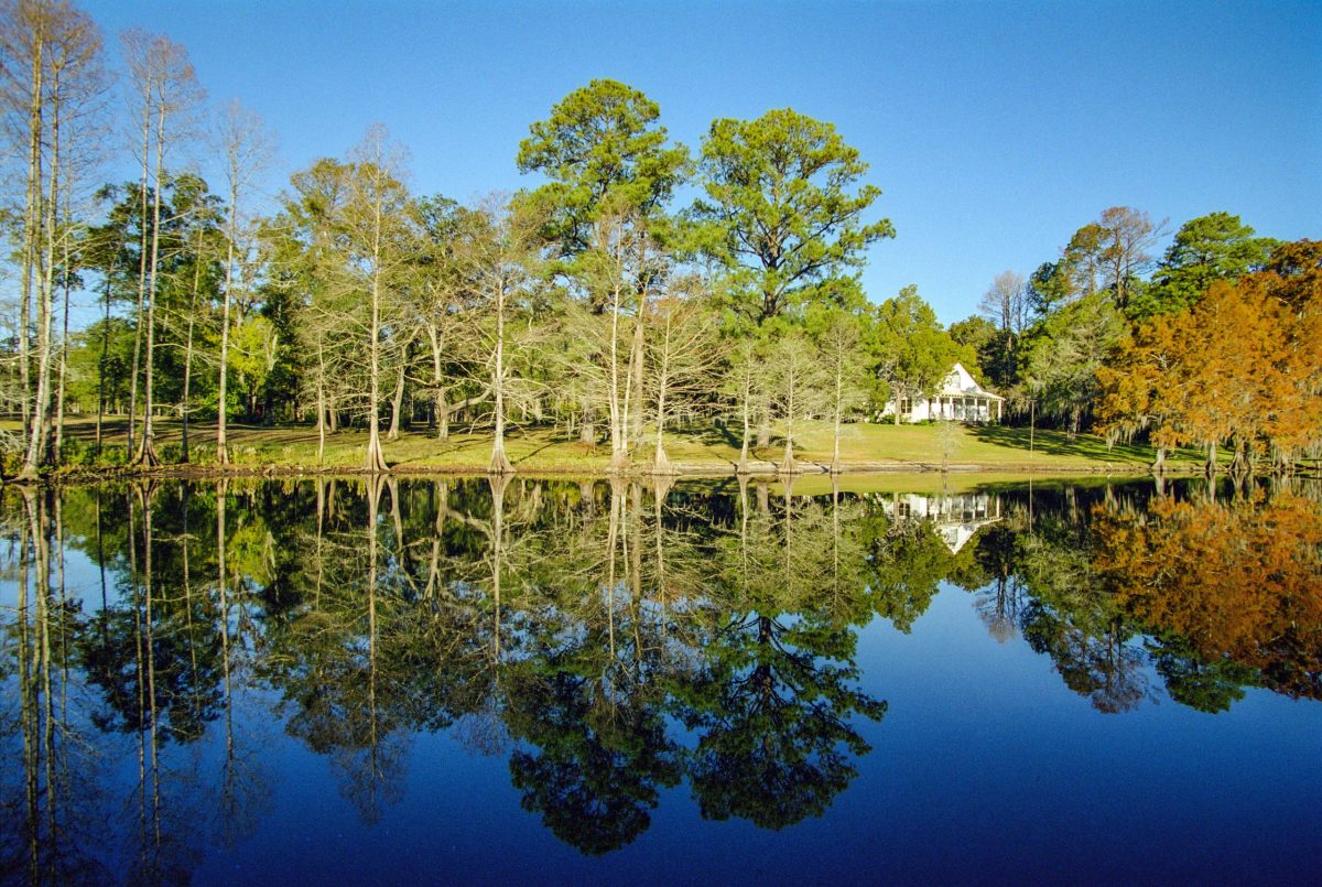 Louisiana Draft Bulletin Addresses Tax Collection And Remittance For louisiana-draft-bulletin-addresses-tax-collection-and-remittance-for