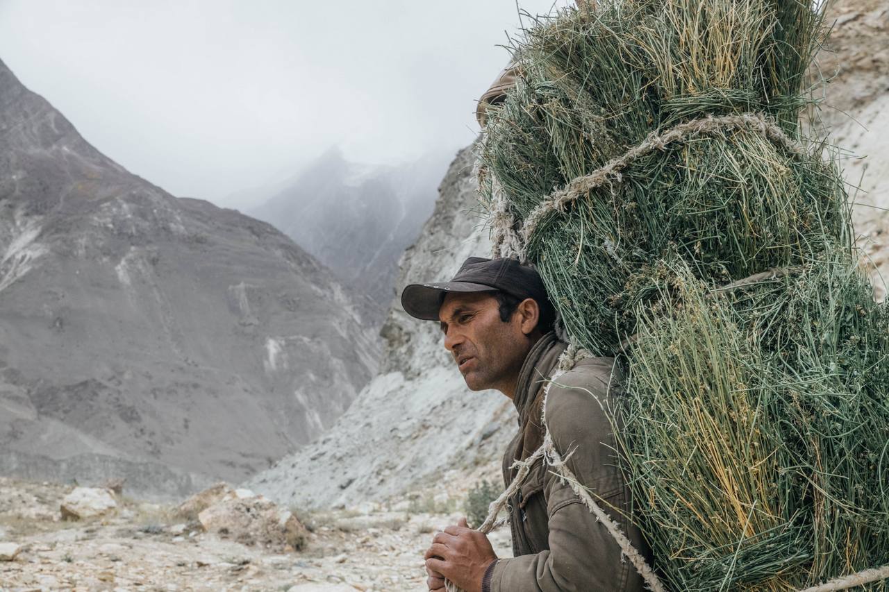 Sales Tax Registration Mandatory for Various Entities in Tax Year 2024 ...